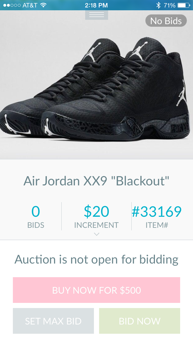 Previewing Your Auction